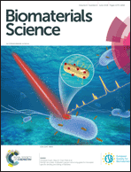 Front cover - Biomaterials Science (RSC Publishing)