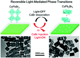 Reversible light-mediated compositional and structural transitions ...