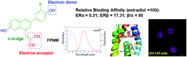 A high-affinity subtype-selective fluorescent probe for estrogen ...