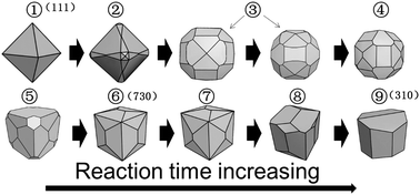 Stepwise evolution of Au micro/nanocrystals from an octahedron into a ...