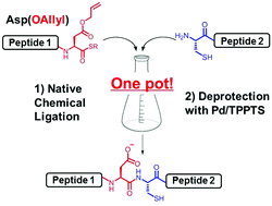 Efficient peptide ligation between allyl-protected Asp and Cys followed ...