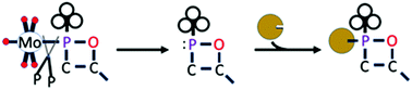 “Low-coordinate” 1,2-oxaphosphetanes – a new opportunity in ...
