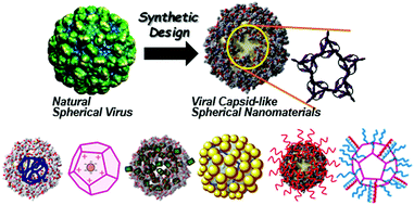 Synthetic approaches to construct viral capsid-like spherical ...