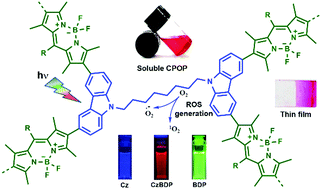 A smart photosensitizer based on a red emitting solution processable ...