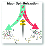 Isotope effects on the spin dynamics of single-molecule magnets probed ...