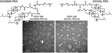 Sterol-modified PEG lipids: alteration of the bilayer anchoring moiety ...