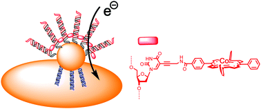 Approaching single DNA molecule detection with an ultrasensitive ...