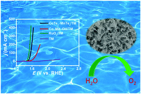 A hierarchical CoTe2–MnTe2 hybrid nanowire array enables high activity ...