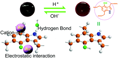 A recyclable hydroxyl functionalized polyindole hydrogel for sodium ...