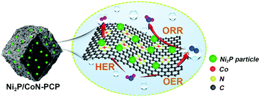 An efficient multifunctional hybrid electrocatalyst: Ni2P nanoparticles ...