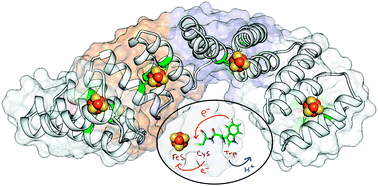Repeat proteins as versatile scaffolds for arrays of redox-active FeS ...