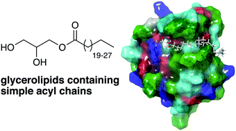 Synthesis of glycerolipids containing simple linear acyl chains or ...