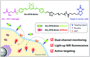 Dual-channel near-infrared fluorescent probe for real-time tracking of ...