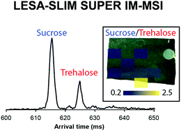 Towards resolving the spatial metabolome with unambiguous molecular ...