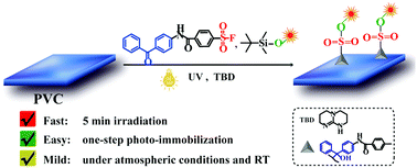 A rapid one-step surface functionalization of polyvinyl chloride by ...
