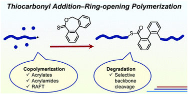 Degradable vinyl copolymers through thiocarbonyl addition–ring-opening ...