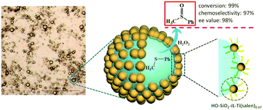 An ionic liquid-functionalized amphiphilic Janus material as a ...