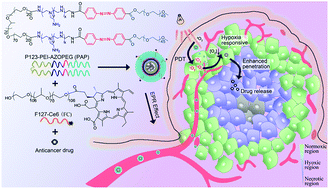 Light-enhanced hypoxia-responsive nanoparticles for deep tumor ...