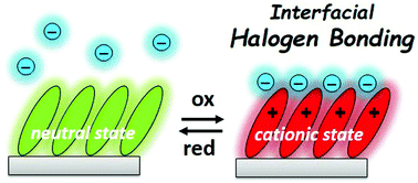 Electrochemically driven interfacial halogen bonding on self-assembled ...