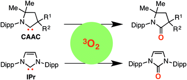 Dioxygen activation with stable N-heterocyclic carbenes - Chemical ...