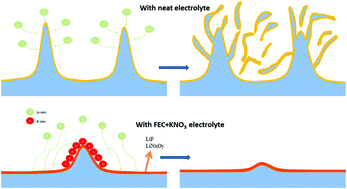 Highly stable lithium plating by a multifunctional electrolyte additive ...