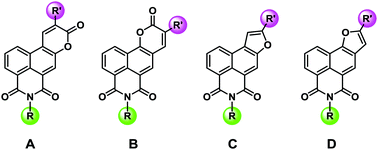Versatile fluorophores for bioimaging applications: π-expanded ...