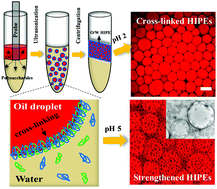 A simple route to renewable high internal phase emulsions (HIPEs ...