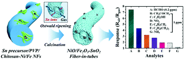 Bio-inspired heterogeneous sensitization of bimetal oxides on SnO2 ...