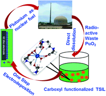Remarkably enhanced direct dissolution of plutonium oxide in task ...