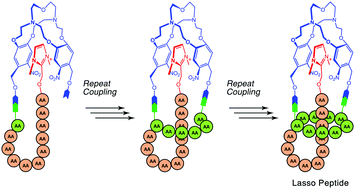 Cryptand-imidazolium supported total synthesis of the lasso peptide BI ...