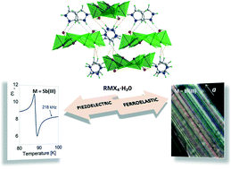 Ferroelasticity and piezoelectricity of organic–inorganic hybrid ...