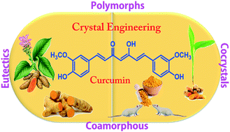 Curcumin: pharmaceutical solids as a platform to improve solubility and ...