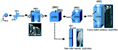 The formation mechanism of Al6(Fe, Mn) in die-cast Al–Mg alloys ...