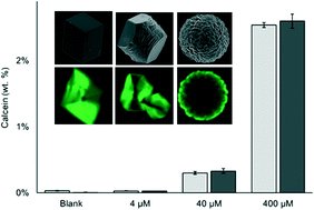 Insights on the interaction of calcein with calcium carbonate and its ...