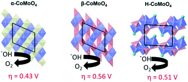 Electrocatalytic performance of different cobalt molybdate structures ...