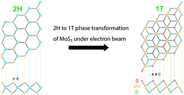 Atomic scale study for the structural transformation of single layered ...