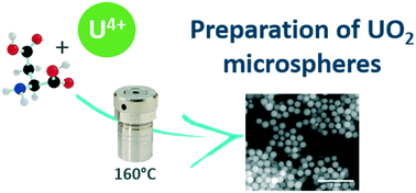 Synthesis of size-controlled UO2 microspheres from the hydrothermal ...