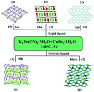 Copper cyanide polymers with controllable dimensions modulated by rigid ...
