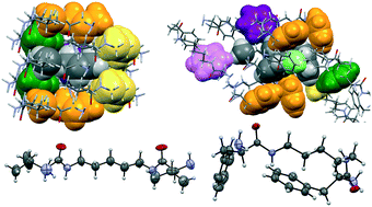 The role of the side chain in the conformational and self-assembly ...
