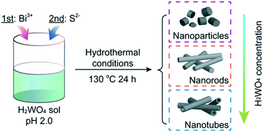 Green synthesis of bismuth sulfide nanostructures with tunable ...