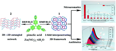Two triphenylamine-based luminescent metal–organic frameworks as a dual ...