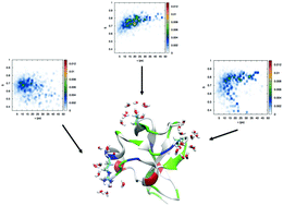 Water structure and dynamics in the hydration layer of a type III anti ...