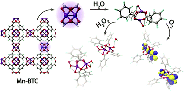 Degradation paths of manganese-based MOF materials in a model oxidative ...