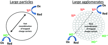 Photocatalytic activity and charge carrier dynamics of TiO2 powders ...