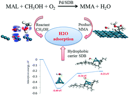 The influence of a hydrophobic carrier, reactant and product during H2O ...