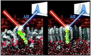 Detecting order and lateral pressure at biomimetic interfaces using a ...