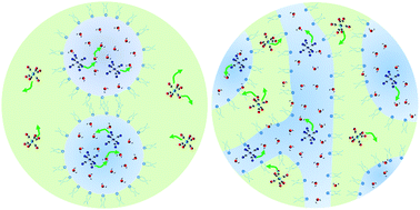 Micellar and bicontinuous microemulsion structures show different ...
