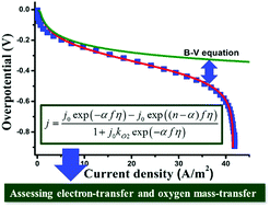 Assessing the electron transfer and oxygen mass transfer of the oxygen ...