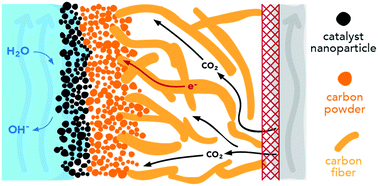 Modeling gas-diffusion electrodes for CO2 reduction - Physical ...