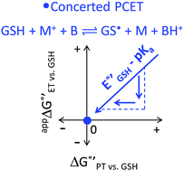 Interplay of proton and electron transfer to determine concerted ...
